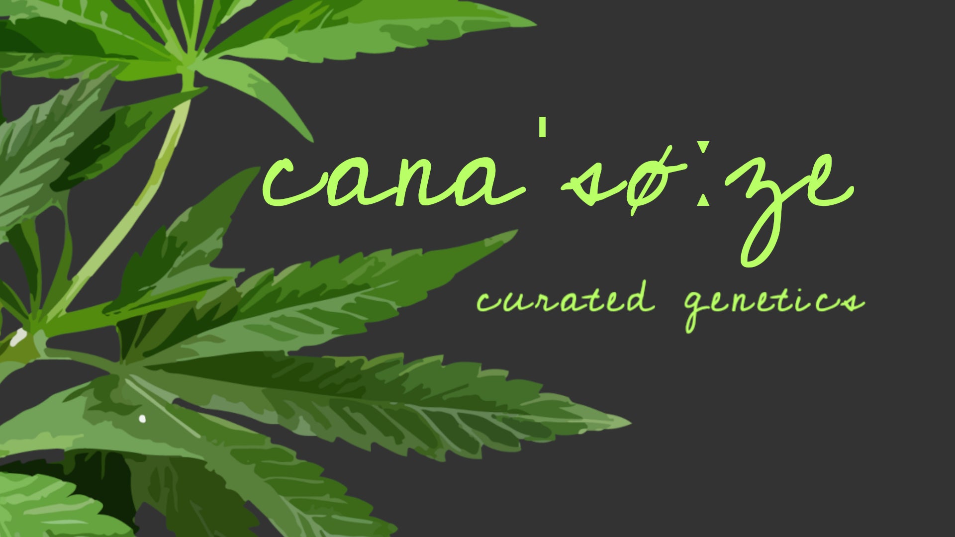 Cannabis und BtMG: Was in Deutschland aktuell wirklich gilt ...
